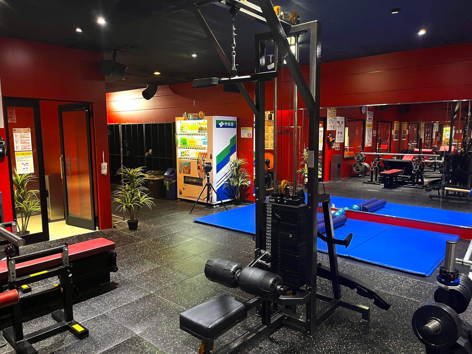 FINE LAB FIT - ファイン・ラボ フィット