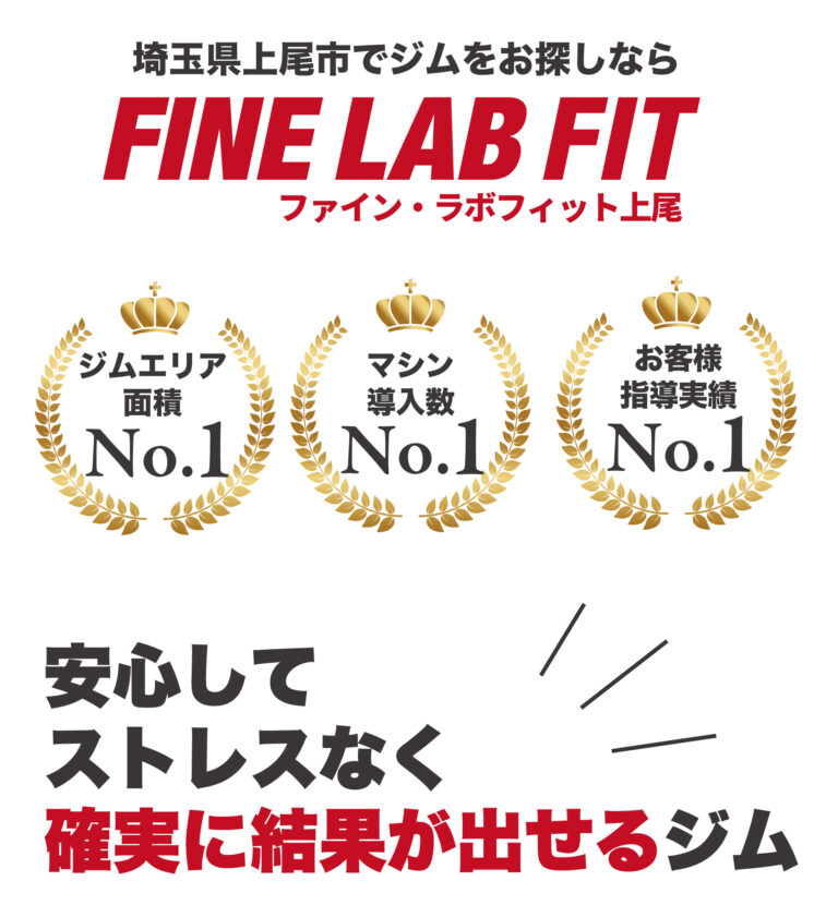 FINE LAB FIT - ファイン・ラボ フィット